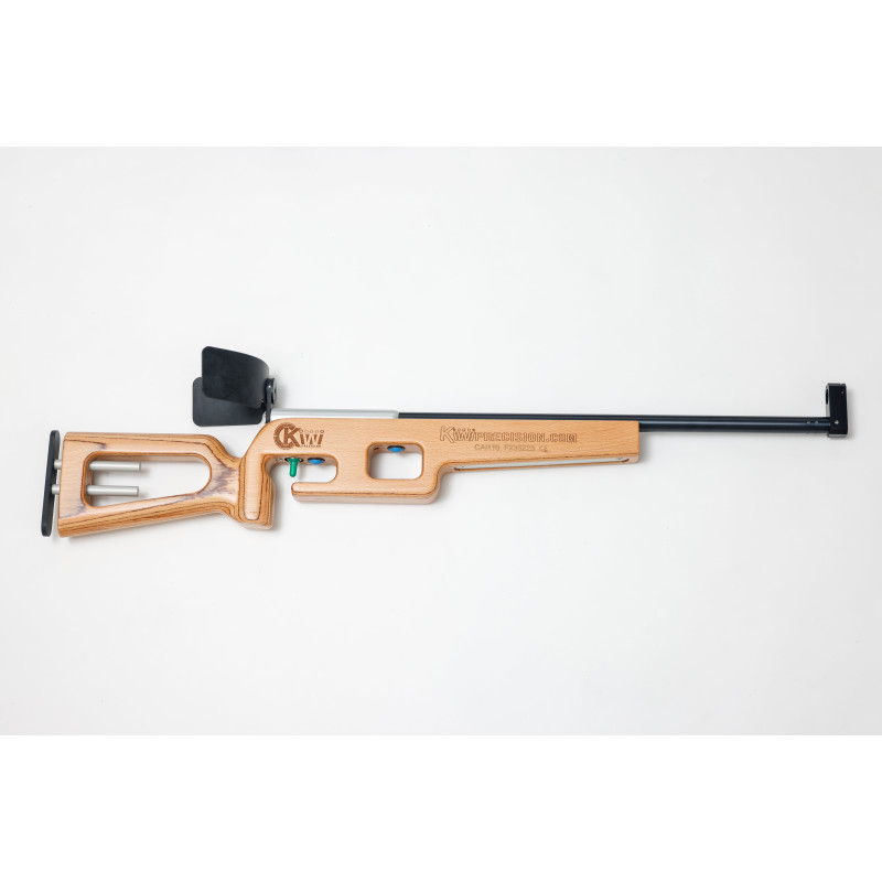 Carabine Biathlon Laser iXtense L