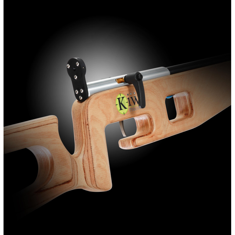 Biathlon Laser No Risk